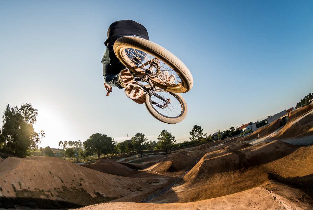 Female BMX Racer Abygale Reeve Claims 10th Consecutive Alberta Title ...